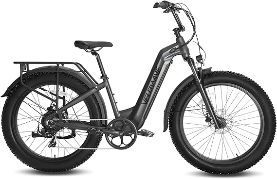 Best Electric Bikes for Heavy Riders: Tested and Reviewed - Ebike Critics
