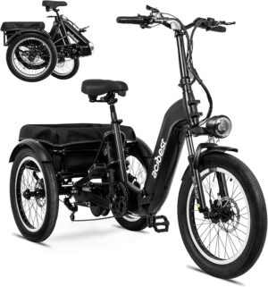 Best Electric Tricycle for Adults: Tested and Reviewed - Ebike Critics
