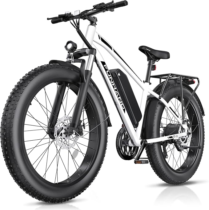 1000 Watt Ebike