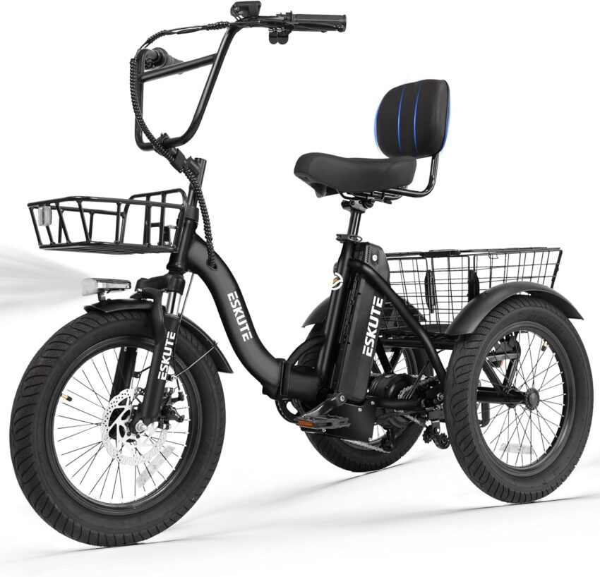 Best Electric Tricycle for Adults: Tested and Reviewed - Ebike Critics